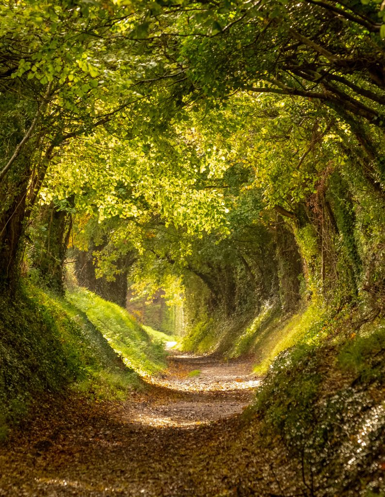 England in the Summer - EnglandExplore