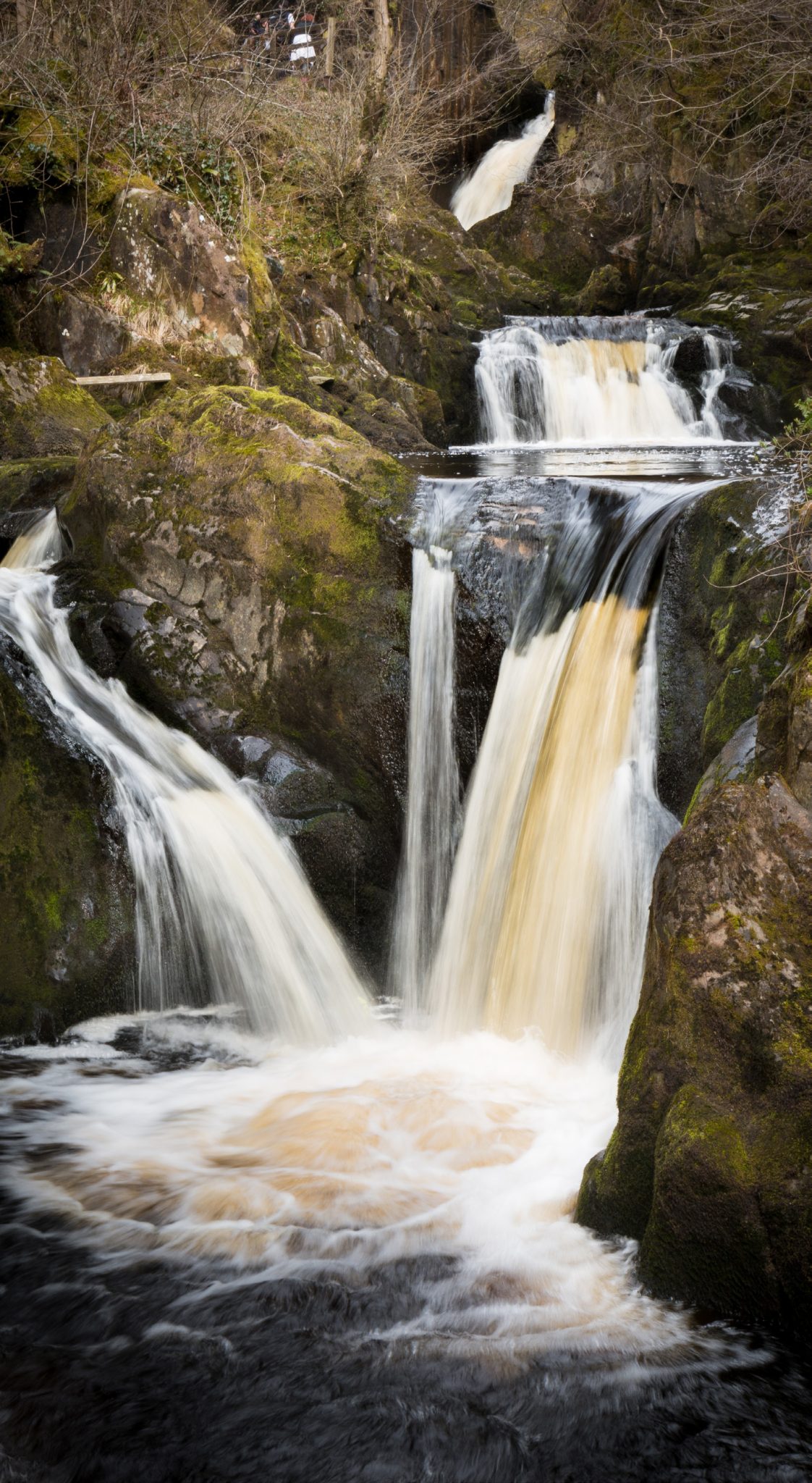 James Wight - Better known as the Yorkshire author, James Herriot ...