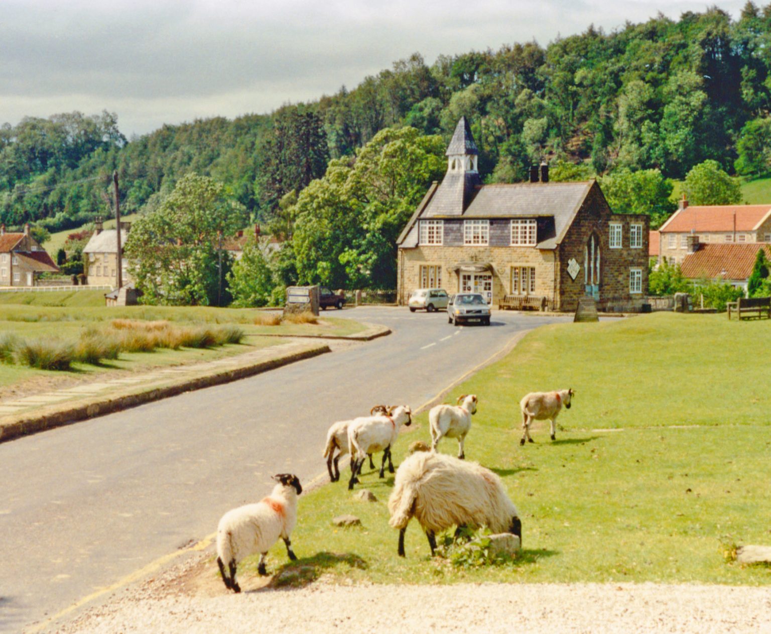 The NorthYork Moors - EnglandExplore